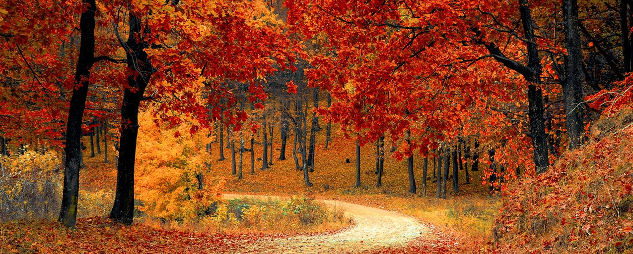 Oswego Teachers Federal Credit Union